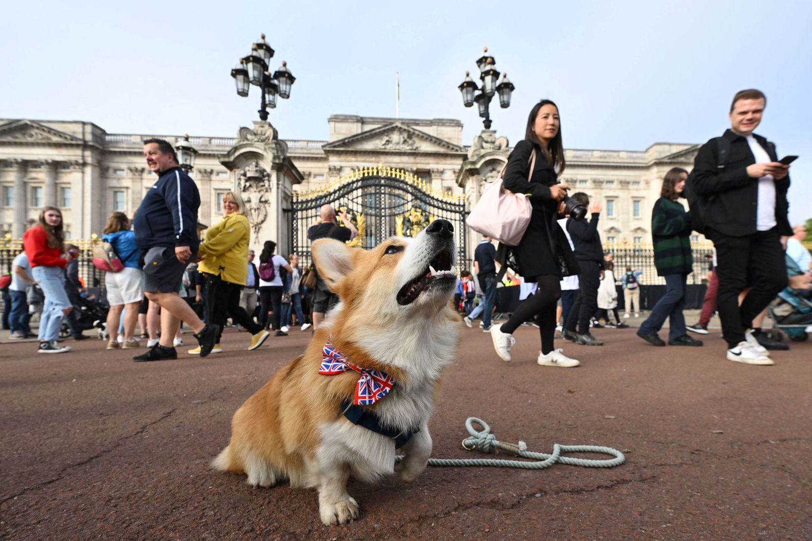 The Queen's Corgis Met Her at Windsor Castle to Say Goodbye | Marie Claire