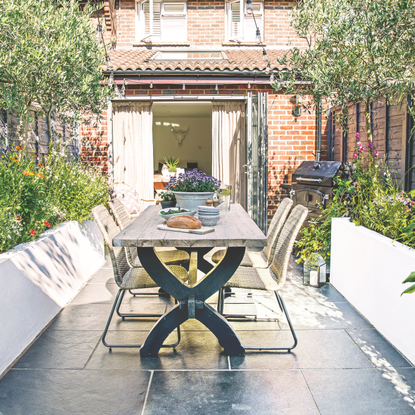 Value Morrisons house plants range you can't afford to miss in stores ...