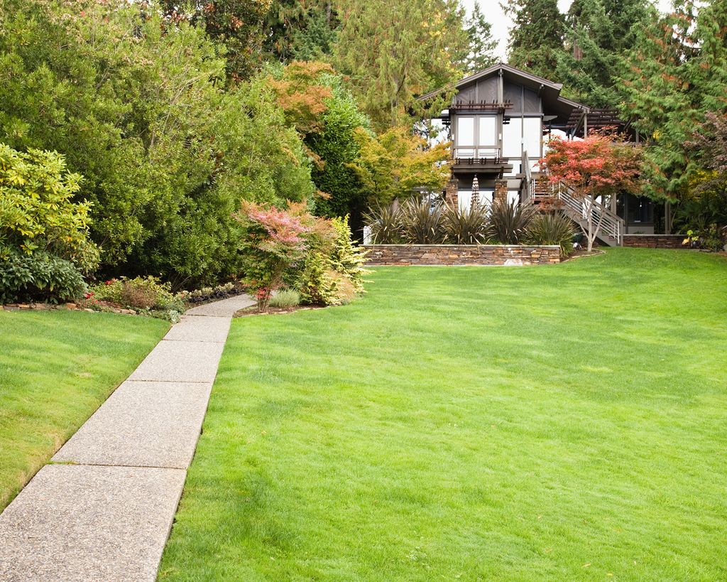 When is the best time to apply lime to a lawn? | Gardeningetc