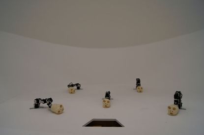 Mathematics exhibition at Fondation Cartier, Paris | Wallpaper*