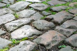 What is the Trouée d'Arenberg? Paris-Roubaix cobbles at their most ...
