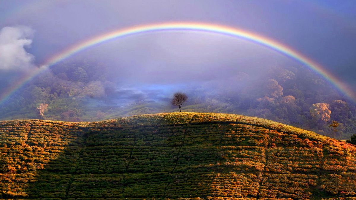 Ever seen a perfect rainbow? This is Weather Photographer of the Year ...