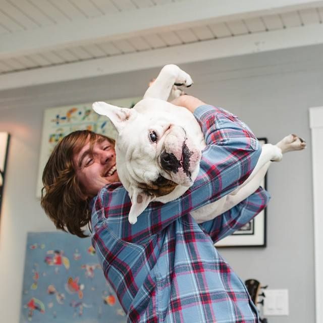 8 totally amazing design studio dogs | Creative Bloq