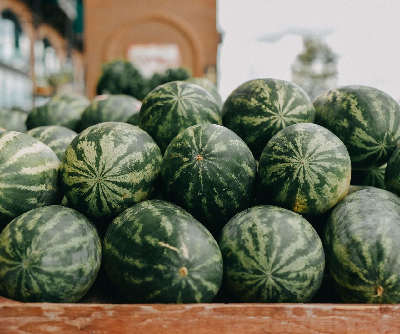 How to pick watermelon: and how to know when they're ready | Homes and ...