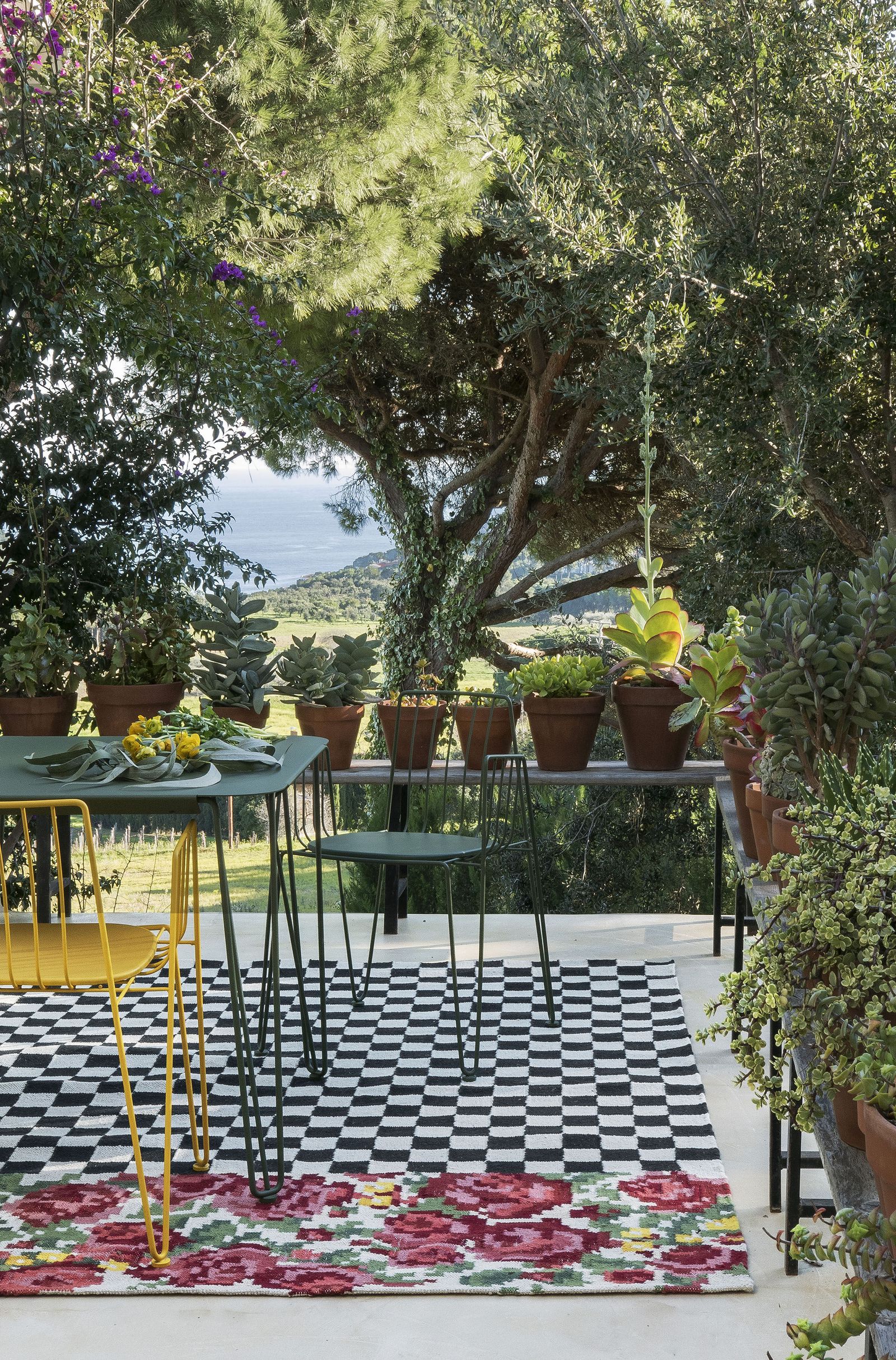 Container gardening – 10 tips to add greenery to tiny spaces | Livingetc