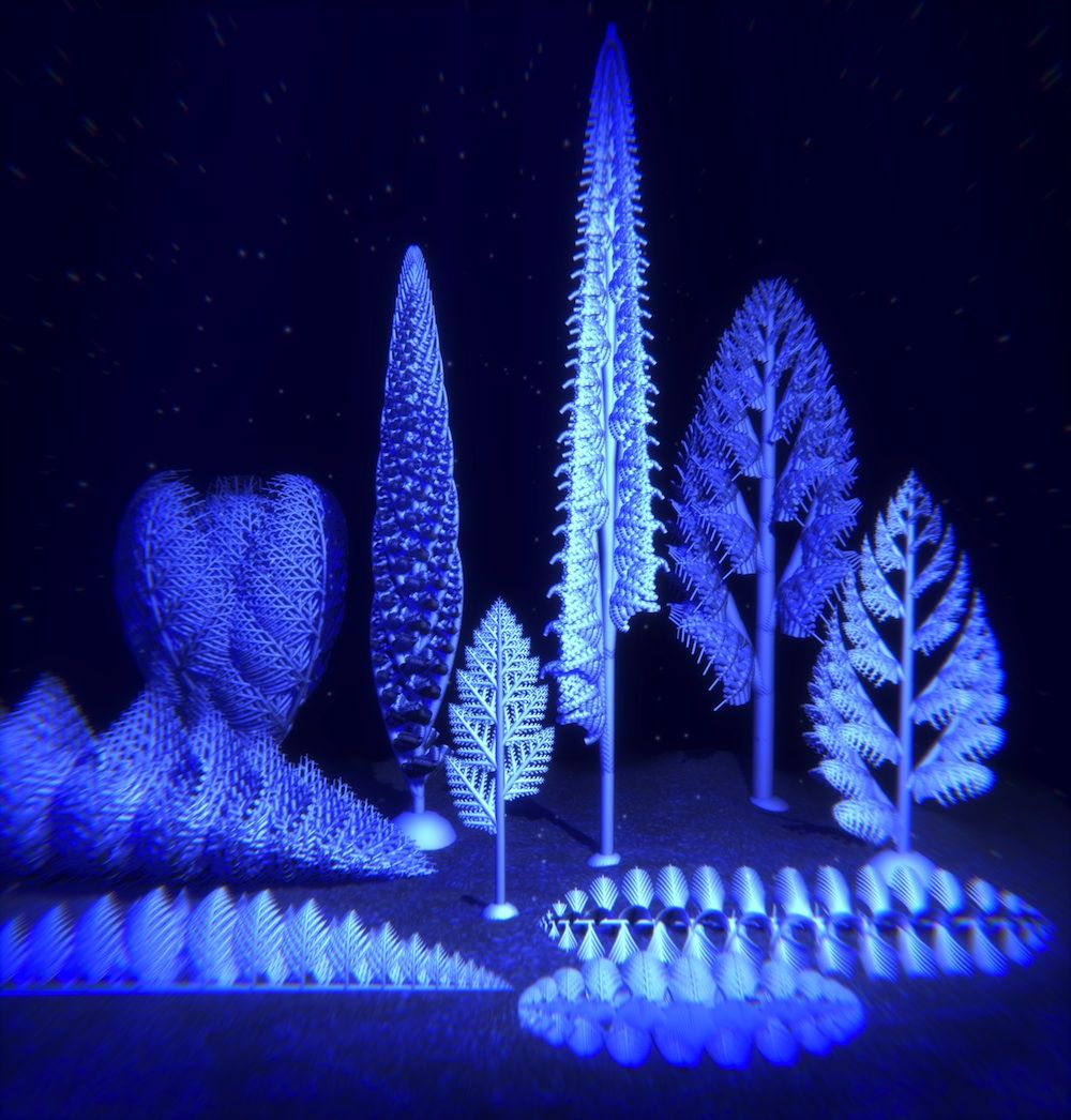 Images: Bizarre, Primordial Sea Creatures Dominated the Ediacaran Era ...