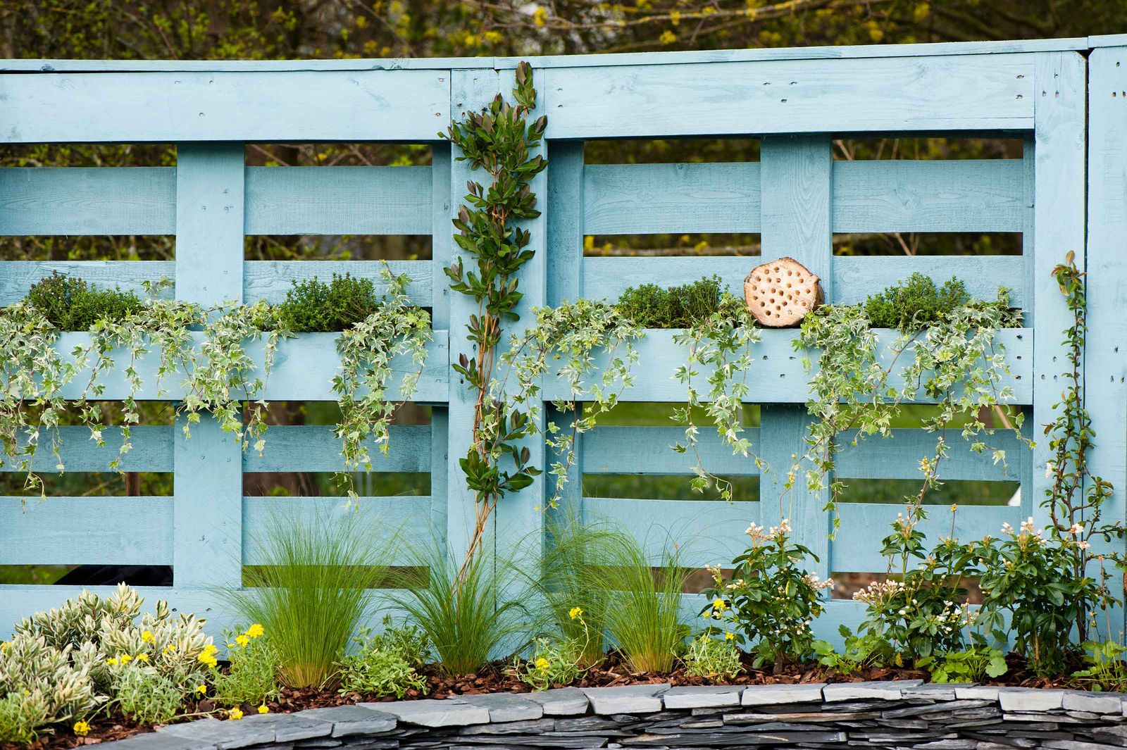 Cheap fence ideas: 11 inexpensive ways to surround your backyard for ...
