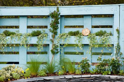 Cheap fence ideas: 11 inexpensive ways to surround your backyard for ...