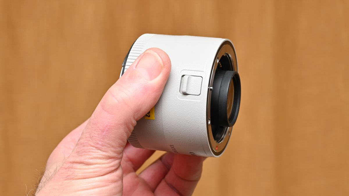 Canon Extender EF 2x III review: is twice as much twice as good ...