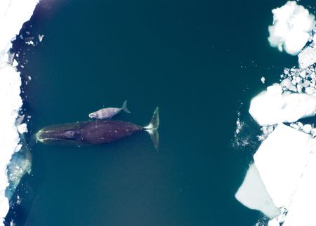 Under the sea: 50 breathtaking images from our oceans | Live Science