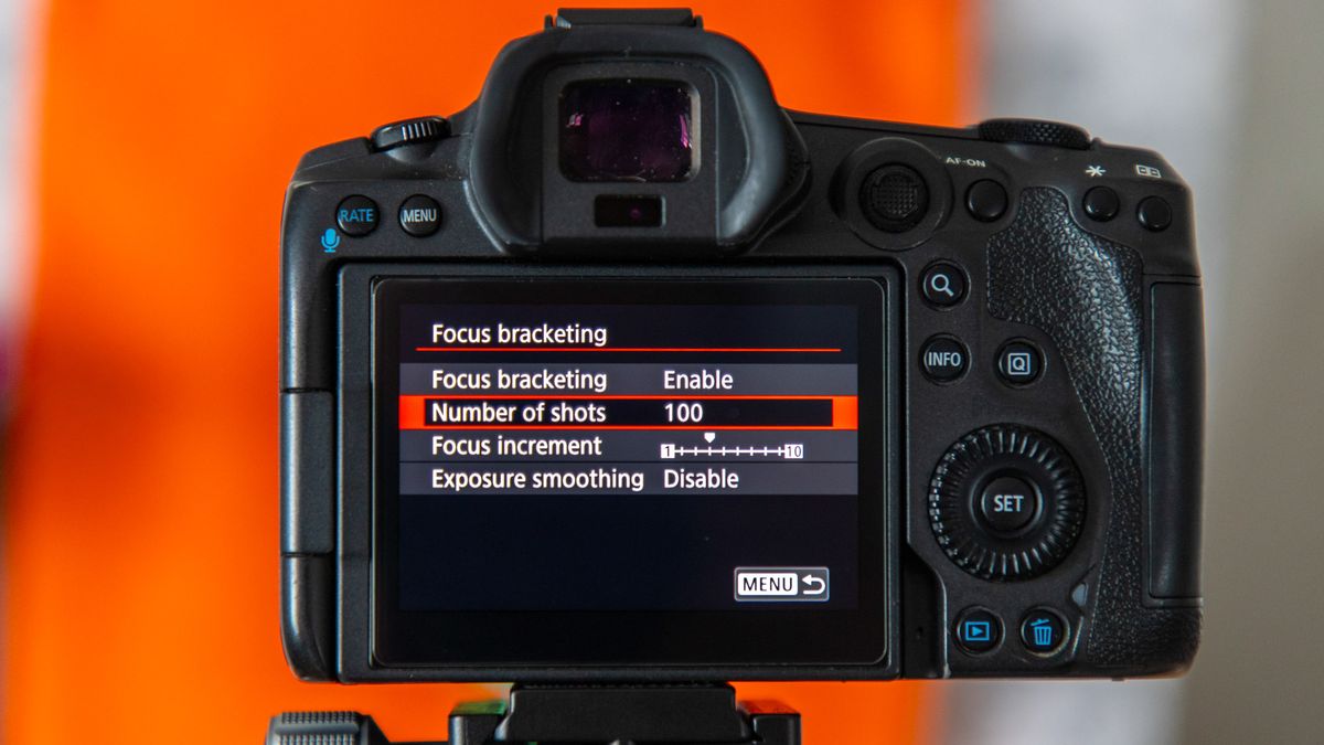I used a focusing rail to stack my close-ups to give my macro photos ...
