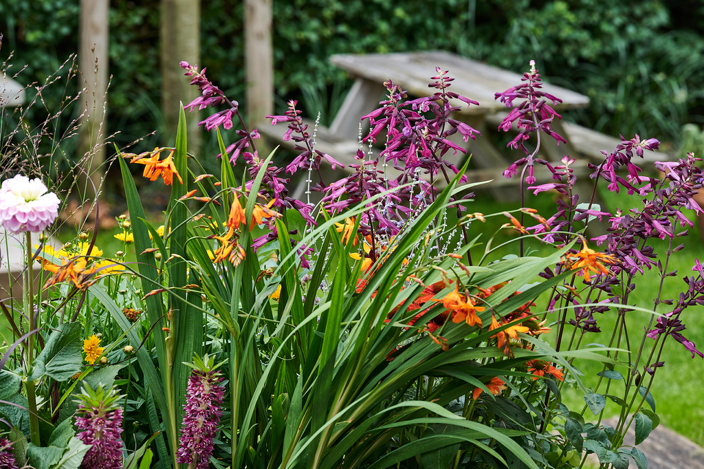 Rented garden ideas – 10 ways to make your backyard your own | Livingetc