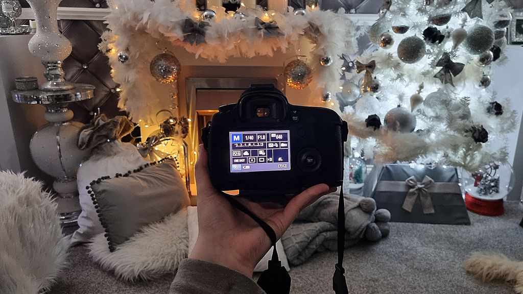 How to create a DIY Christmas photo studio setup from home | Digital ...