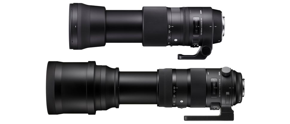 Sigma 150-600 Contemporary vs Sports: let us explain the differences ...