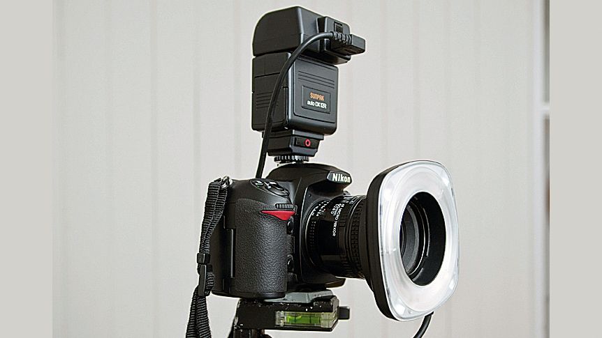 Create X-ray photographs with this cool Photoshop trick | Digital ...