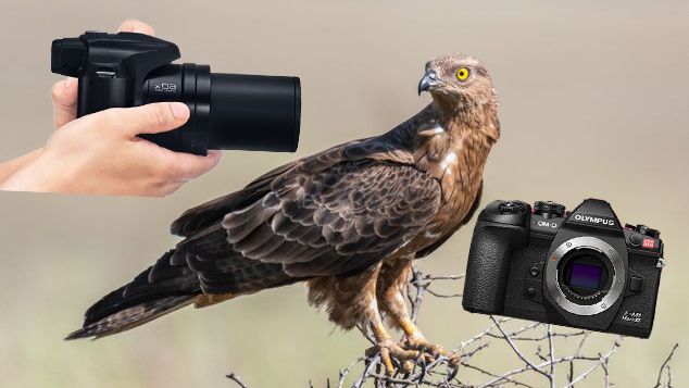 Weekly Wash: the 5 biggest camera news stories of the week (July 07 ...