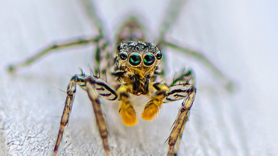 Camera news, reviews and features | Digital Camera World