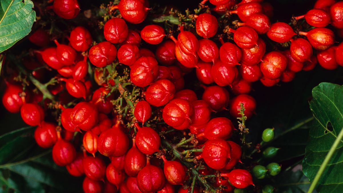 The best running gels 2025: tested by experts | Advnture