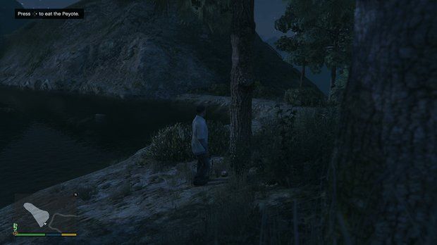 GTA 5 Peyote Plant locations to find every cactus | GamesRadar+