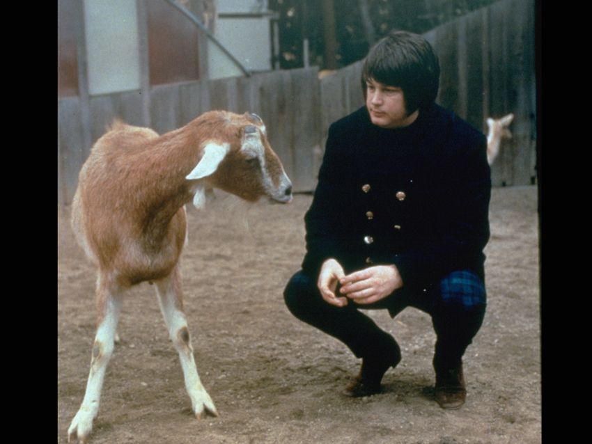 Interview: Brian Wilson on Beach Boys hits, The Beatles, bass playing ...