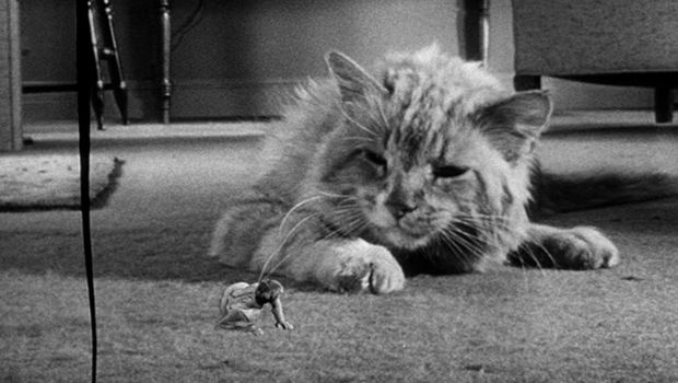 12 movies and shows about miniaturisation | GamesRadar+