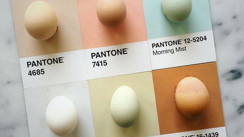 Eggcellent Pantone project provides an Easter treat | Creative Bloq