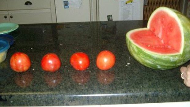 65 things that look like Pac-Man | GamesRadar+