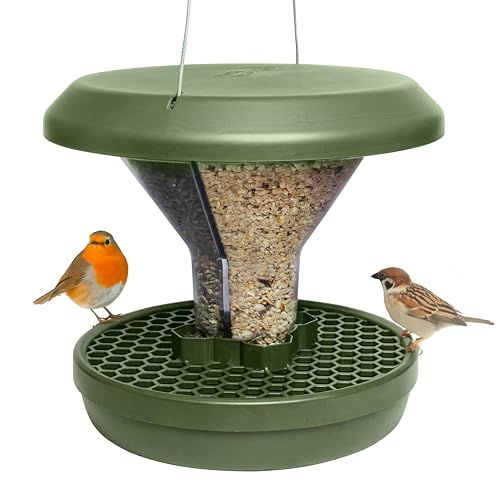Experts recommend adding chilli powder to your bird feeder this winter ...