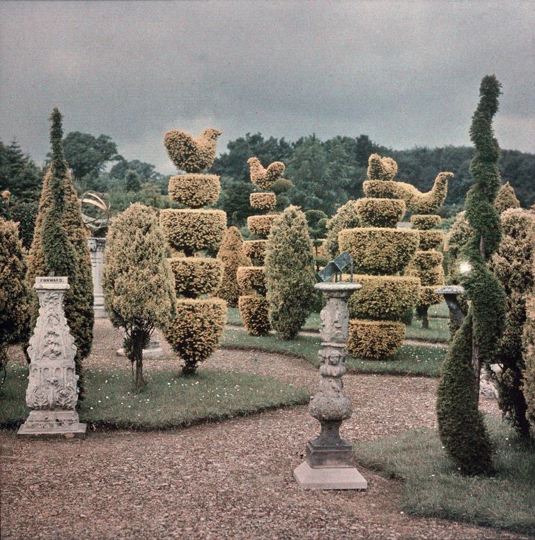 George Harrison's Garden: How the Beatle and his wife turned a 'tangled ...