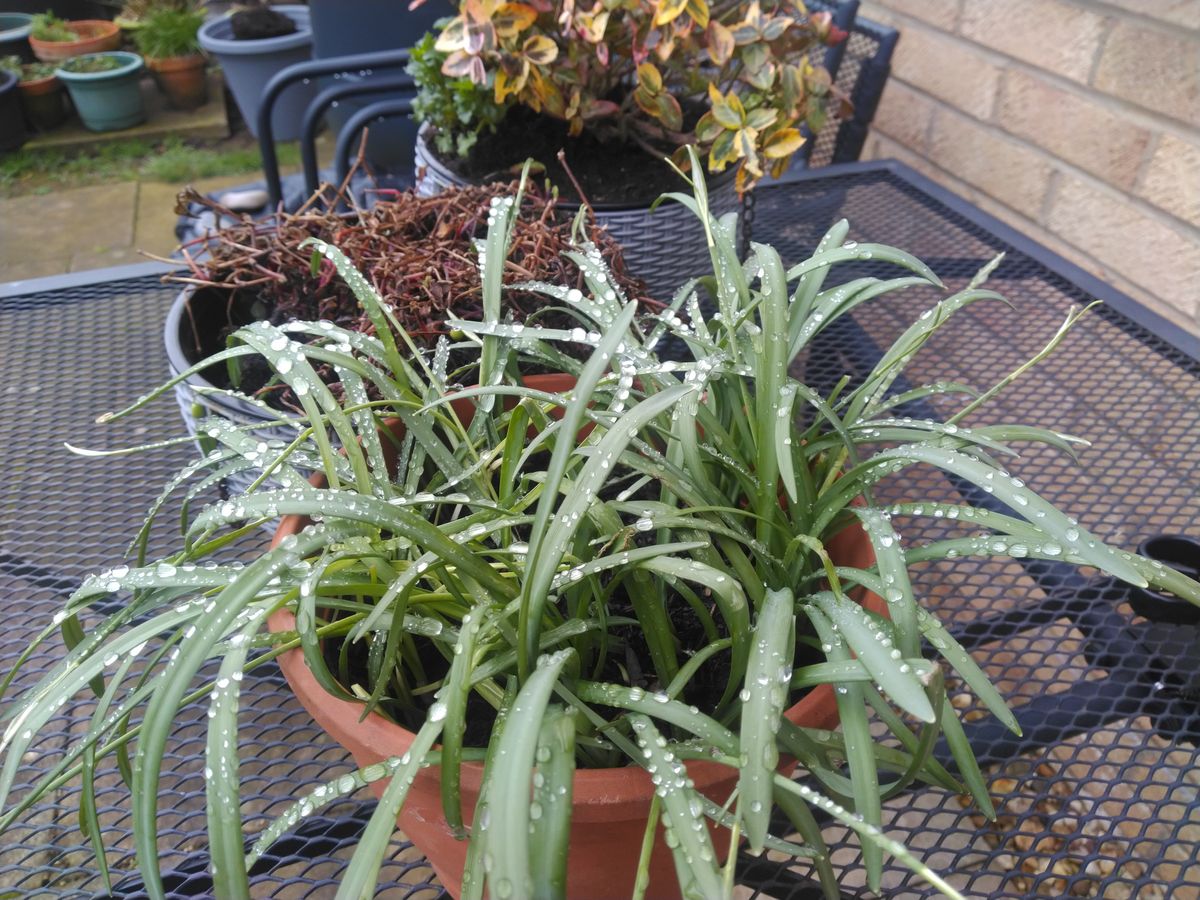 Hands on: Zebra EC55 Enterprise Mobile Computer review | TechRadar