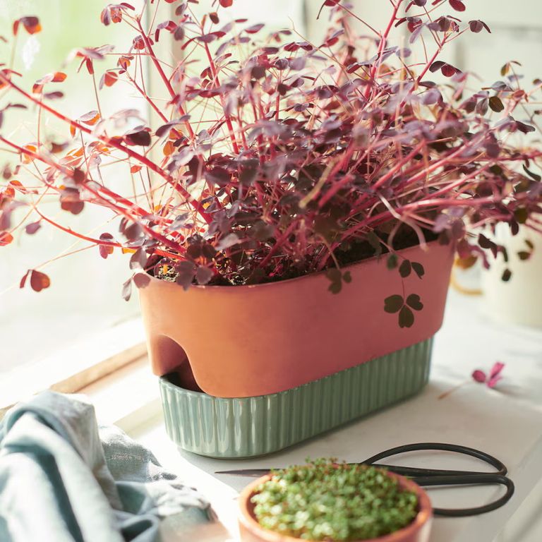 The Ikea Daksjus Collection Is A New Range For Indoor Plants Homes And Gardens