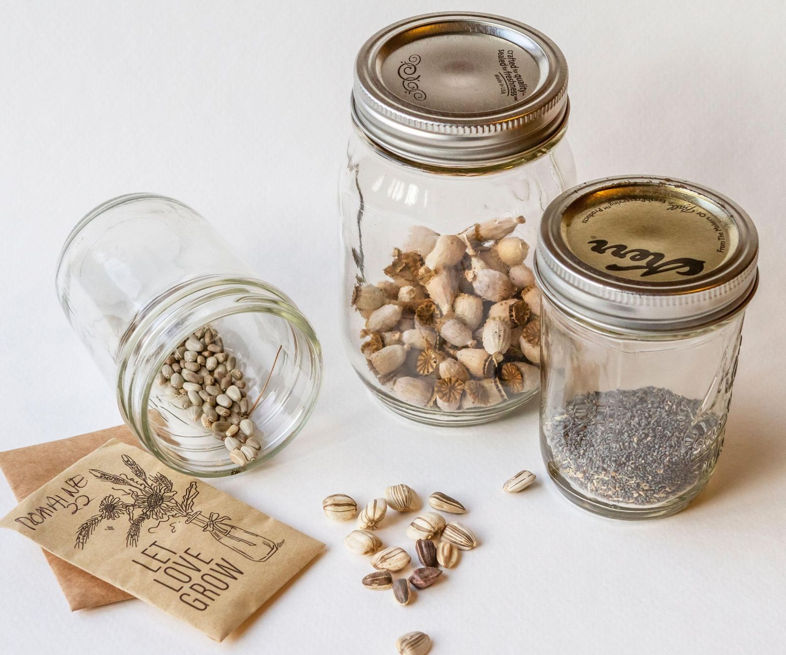 Seed storage mistakes: 7 expert tips for storing seeds | Homes and Gardens