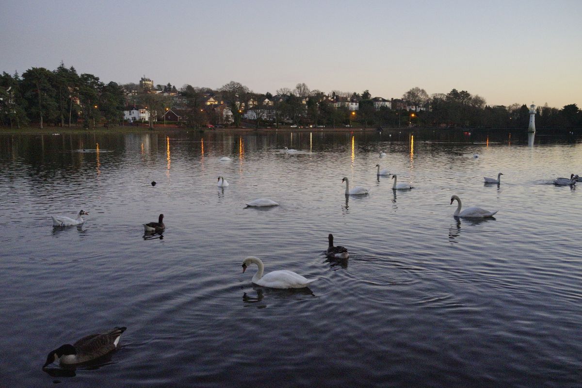 Sample images - Sony RX1 review - Page 6 | TechRadar