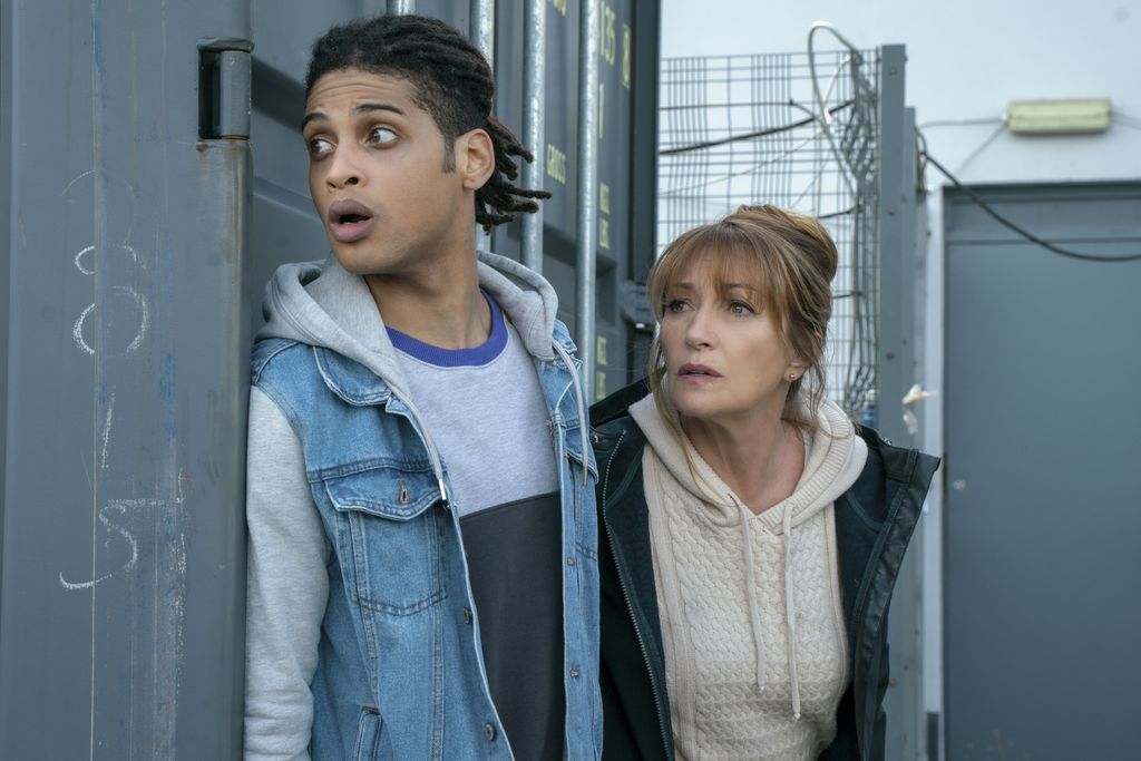 Harry Wild season 3: release date, plot, cast and more | What to Watch