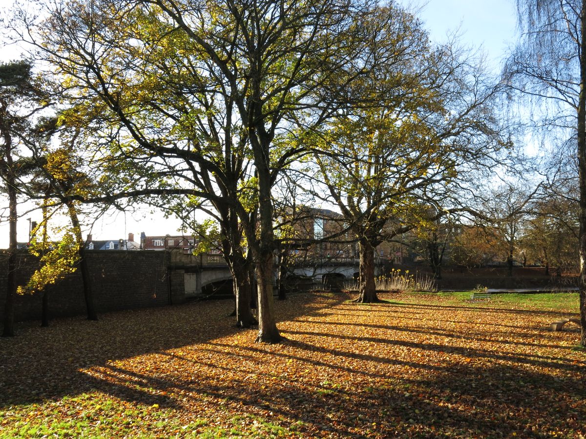 Sample images - Canon G15 review - Page 6 | TechRadar