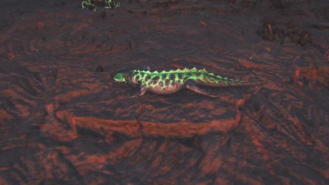 How to catch a Monster Hunter Wilds Ember Rufflizard | GamesRadar+