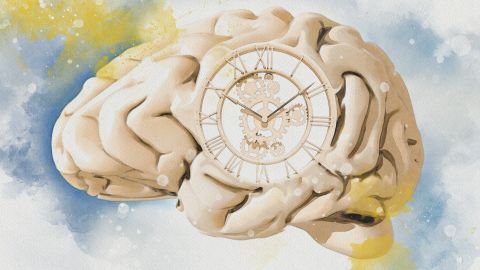New study reveals why time seems to move faster the older we get | Live ...
