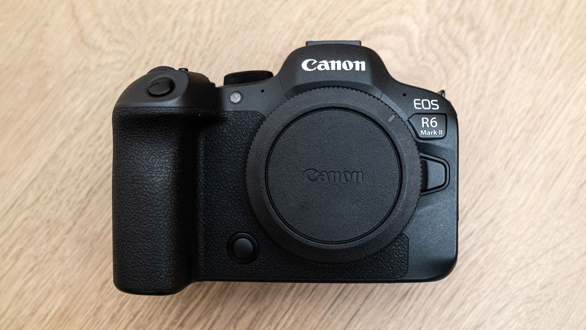 Canon EOS R6 Mark II review | Space