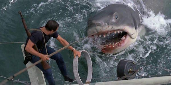 Re-Releasing Jaws With A CGI Shark Is A Good Idea, According To Richard ...