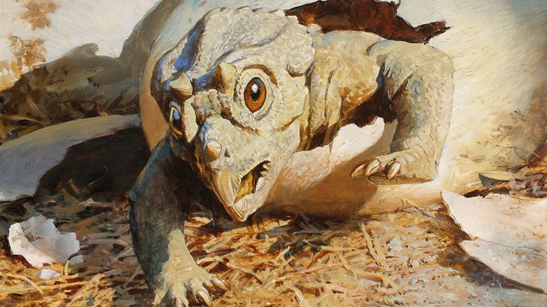 14 Tips For Nailing Composition Like A Pro Page 2 Page 2 Creative Bloq