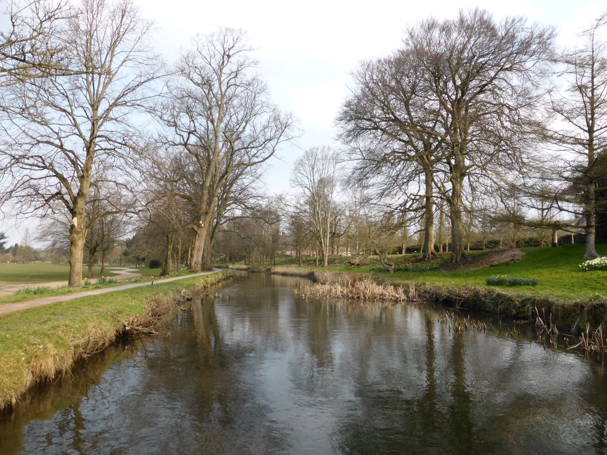 Sample images - Panasonic TZ40 review - Page 6 | TechRadar