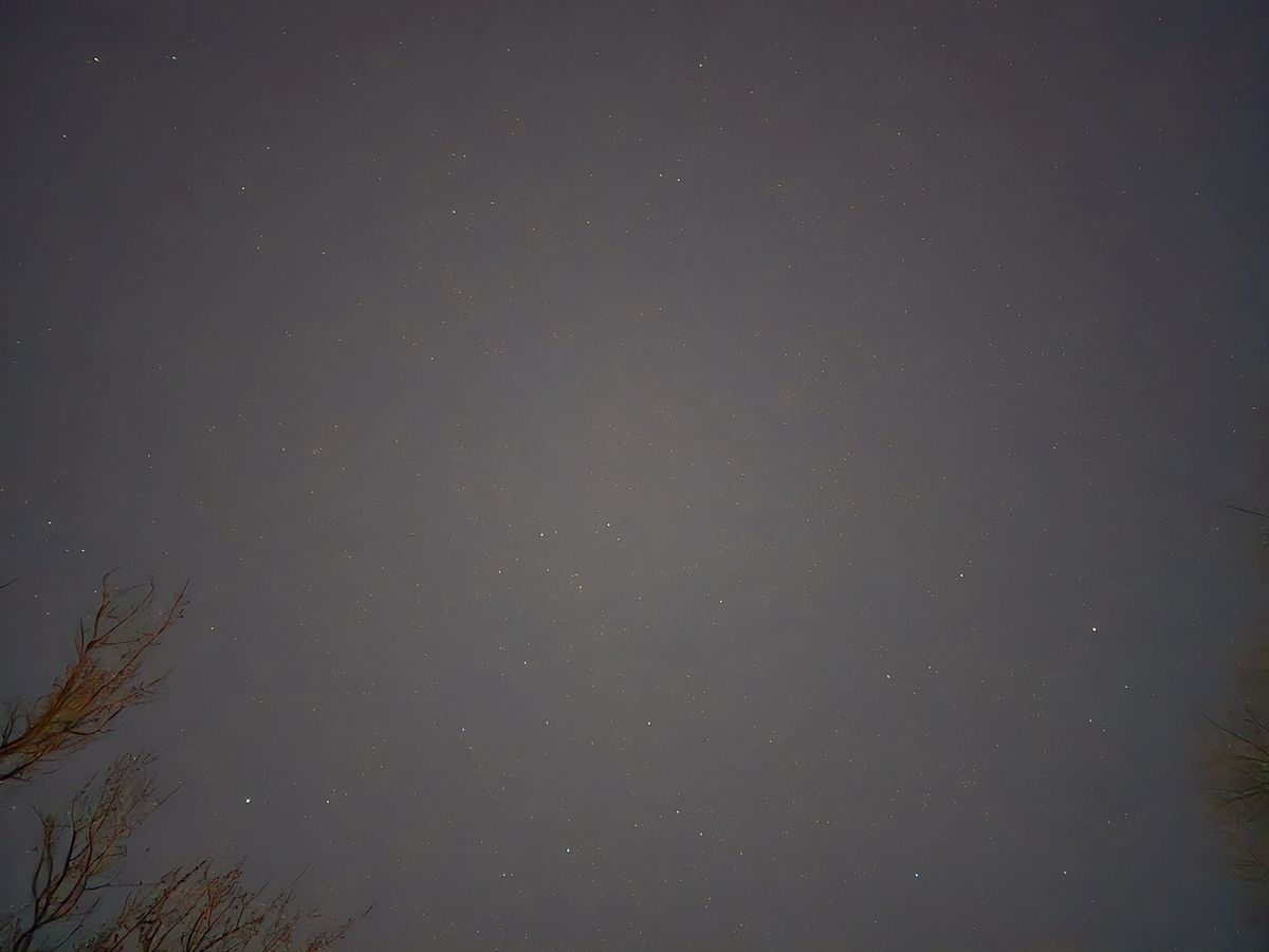 Forget moon shots — I used the Samsung Galaxy S24 Ultra to try ...