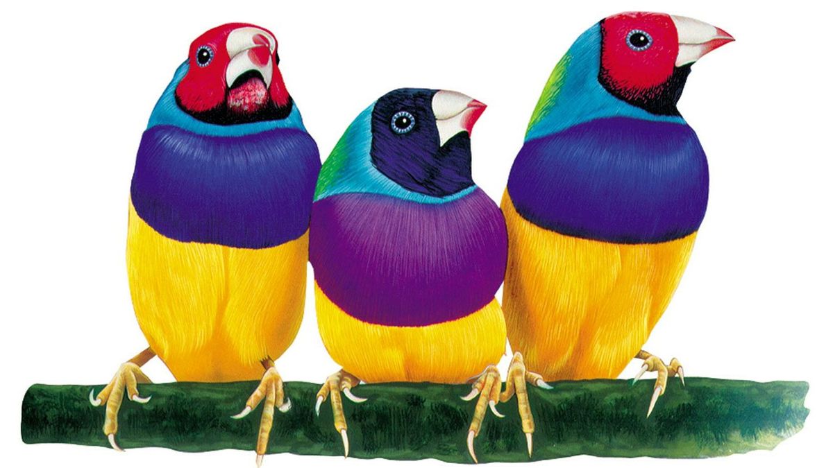 Viewsonic set to unleash 22-inch tablet | TechRadar