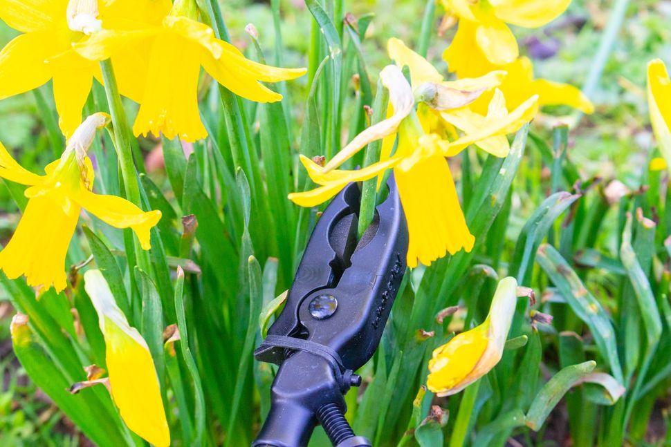 How to use a 'Plamp' for steadier macro shots at home or on location ...