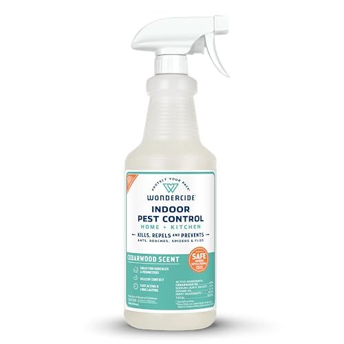 Non-toxic pest control essentials for indoor pests | Homes and Gardens