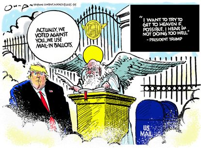 21 Donald Trump political cartoons | The Week
