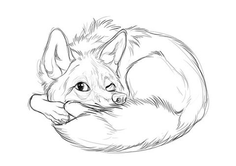 How to depict light glowing through fur | Creative Bloq
