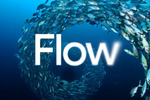 Forget YouTube — Google's new Flow TV offers mesmerizing AI videos for ...