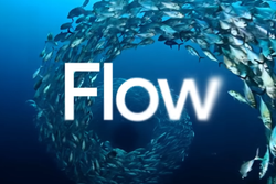 Forget YouTube — Google's new Flow TV offers mesmerizing AI videos for ...