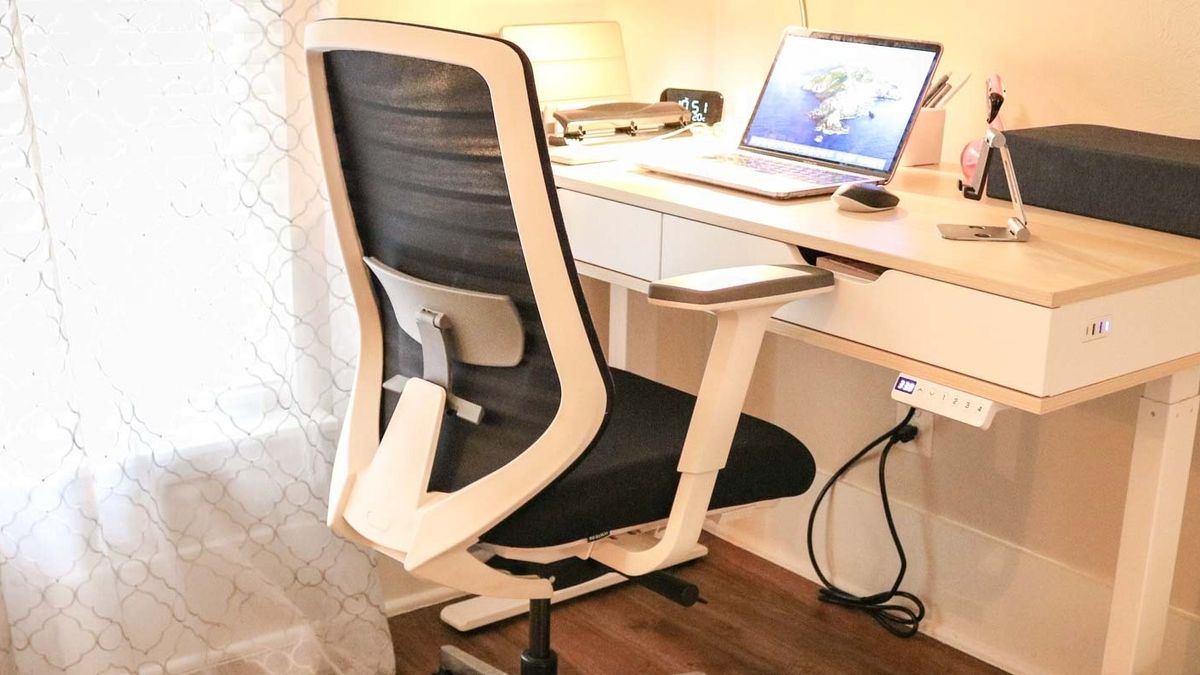 Shopping for a new office chair? These are 5 features to look for | Tom ...